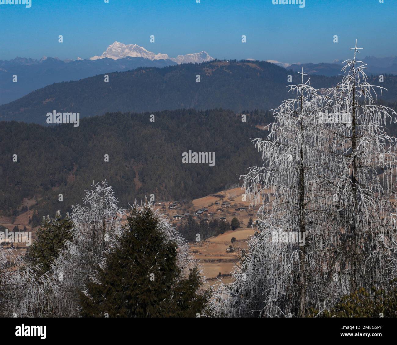 Cold winter season, Bhutan Stock Photo - Alamy