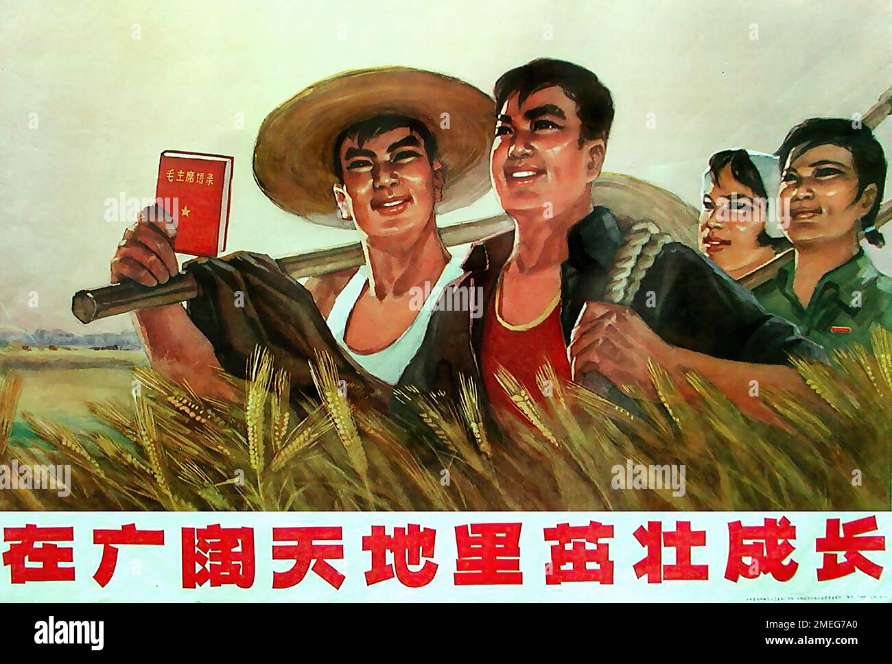 1971 A Vast World Where Much Can Be Accomplished Is Reaching Maturity ...