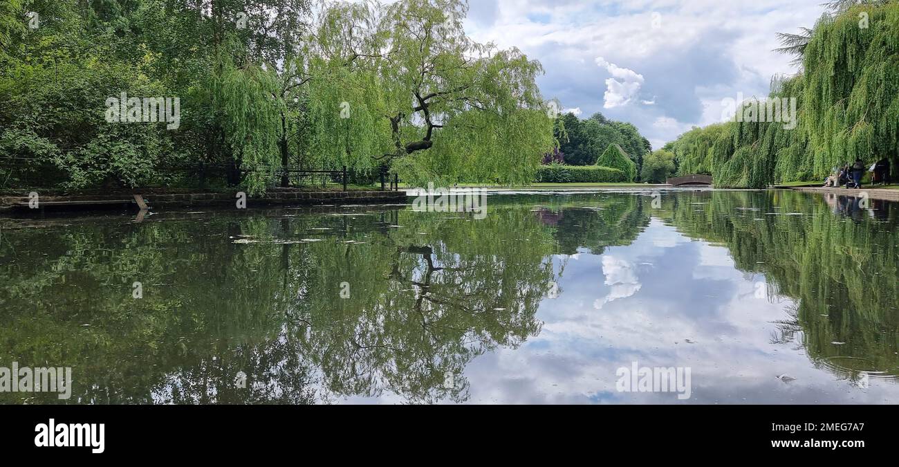 A panoramic landscape of a beautiful lake with green shore reflecting ...