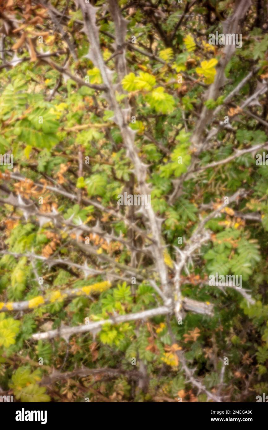 Natures chaos; natural environmental patterns formed by shapes in an ...