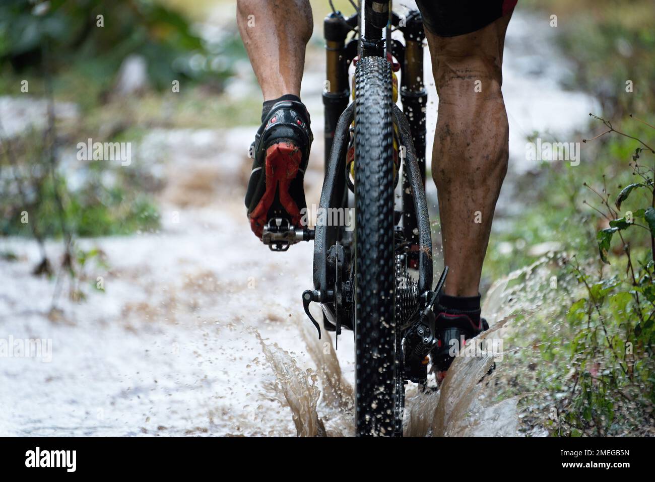 Mountain biker driving in rain upstream creek Stock Photo - Alamy