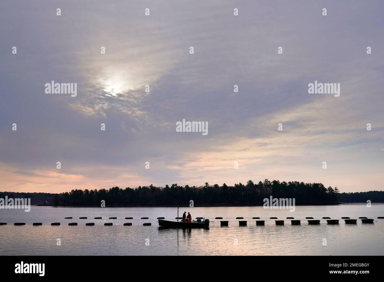 Oyster farmers Sam Dorval and Chris Burtis of Ferda Farms harvest ...