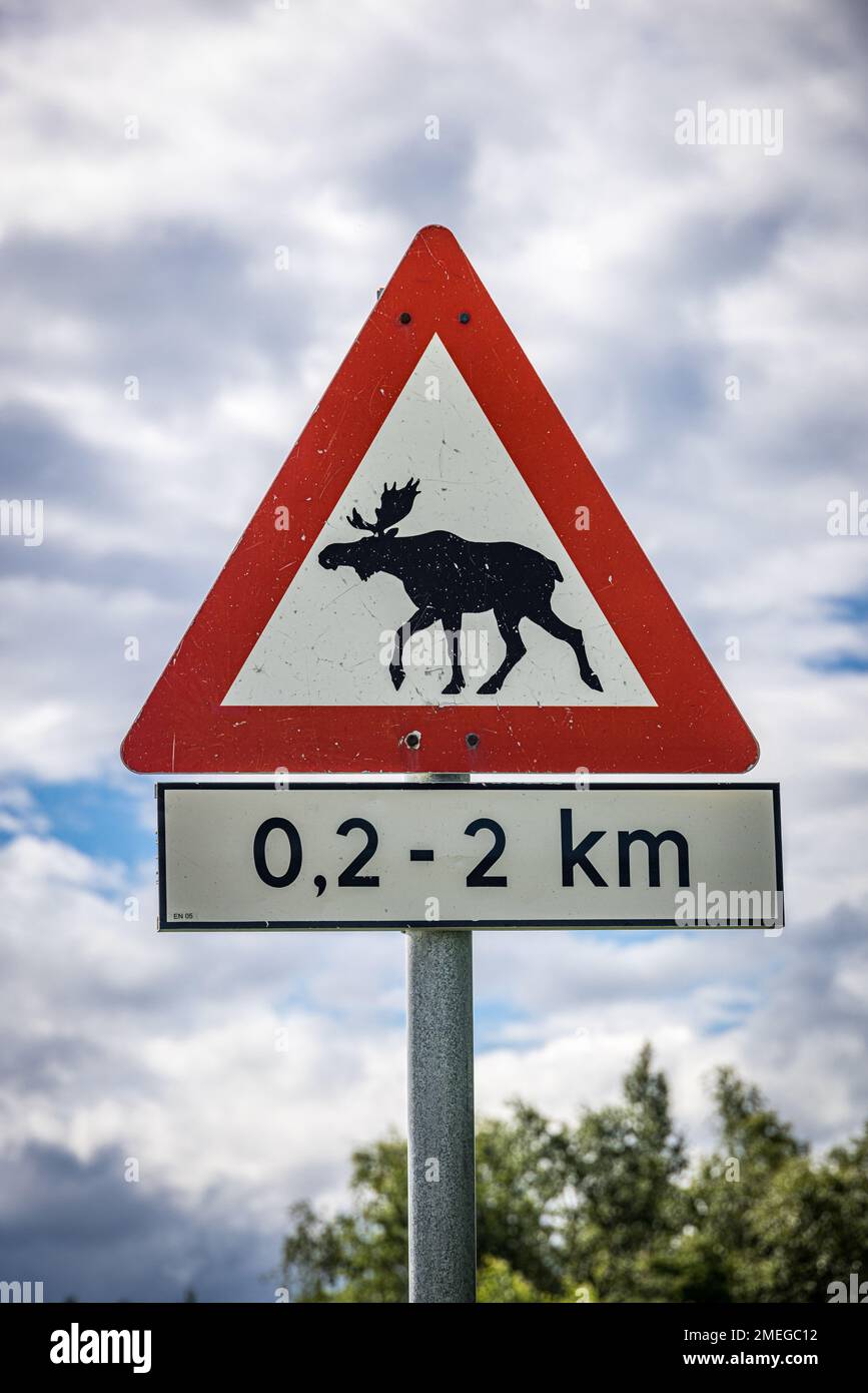 Elk crossing road sign, Norway Stock Photo - Alamy