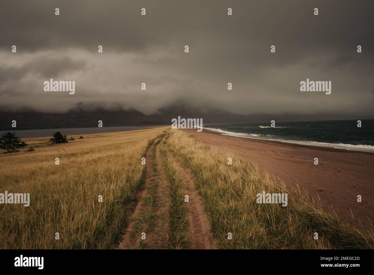 A scenic view of sea waves crashing against a sandy beach covered wit ...