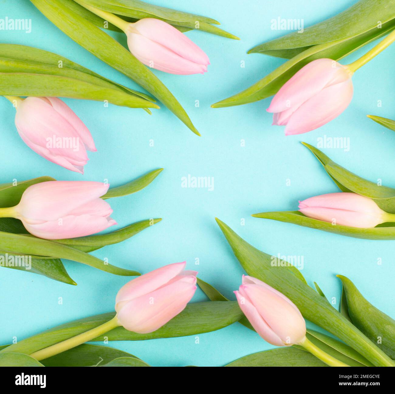 Tulips greeting card for birthday, easter holiday, valentines day ...