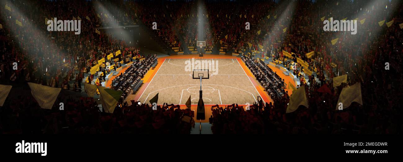 Aerial view. 3D model of empty basketball arena, court, playground for ...