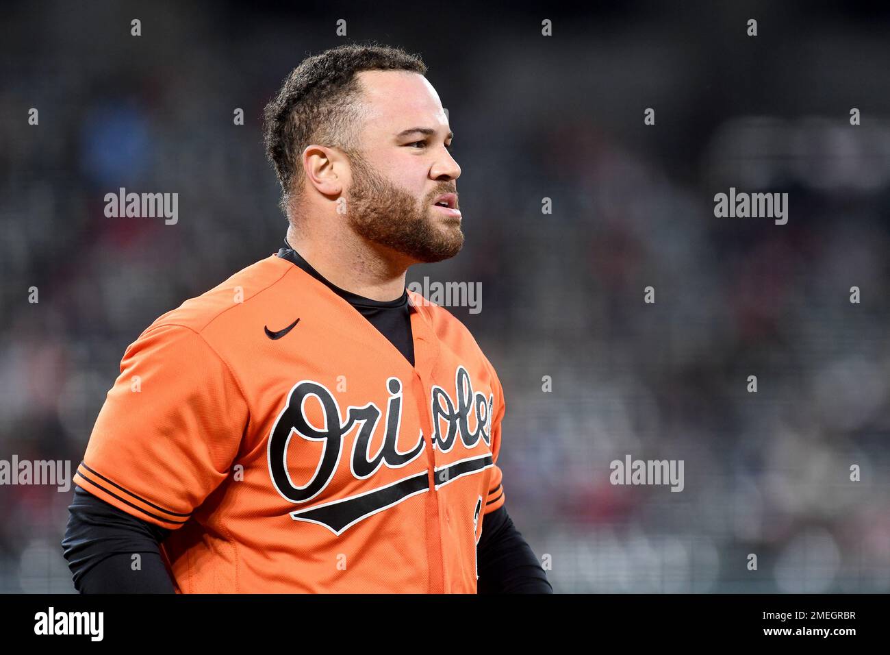 Baltimore Orioles' DJ Stewart looks on during a baseball game against ...