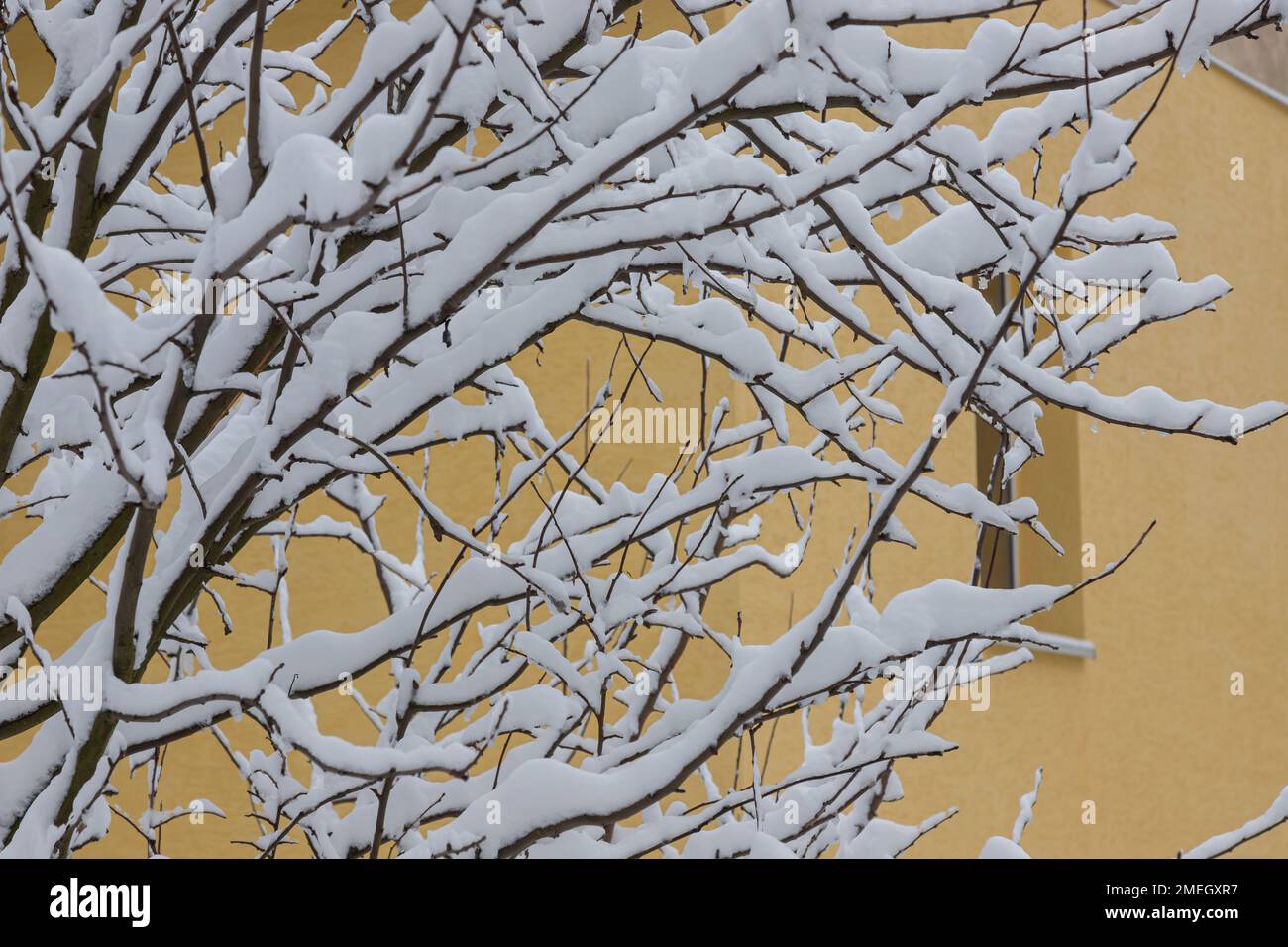 Facade of a residential building in the suburbs during a snowfall. The ...