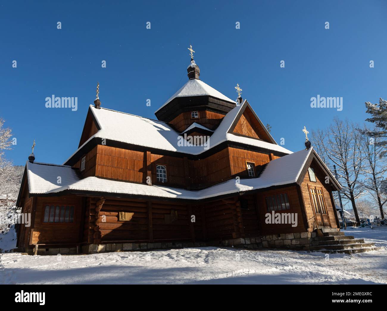 Ivano frankivsk forest hi-res stock photography and images - Alamy