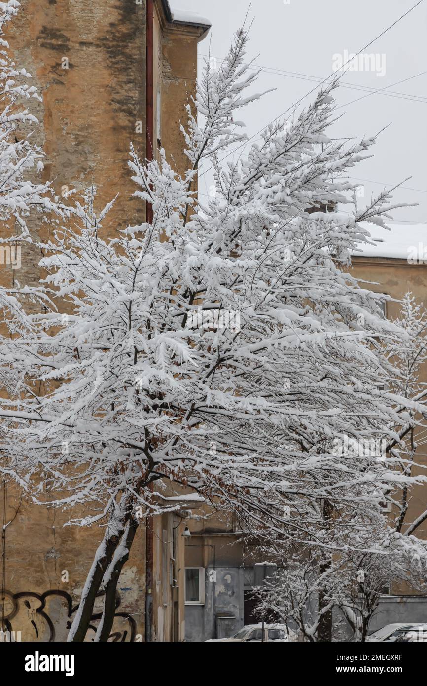 Facade of a residential building in the suburbs during a snowfall. The ...