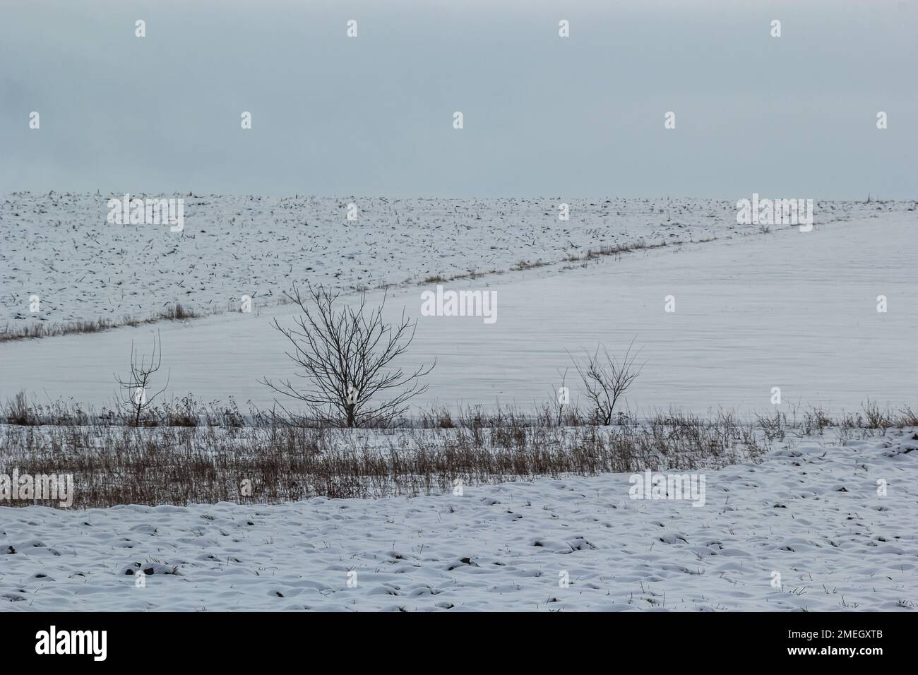 Natural sunset sunrise over field or meadow. The color of the sky over ...