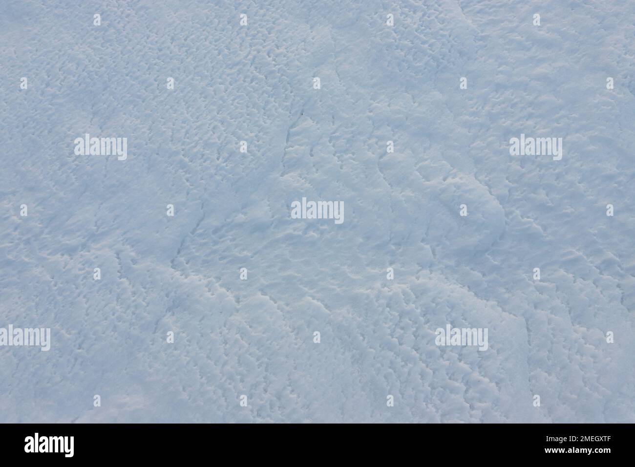 Beautiful winter background with snowy ground. Natural snow texture ...