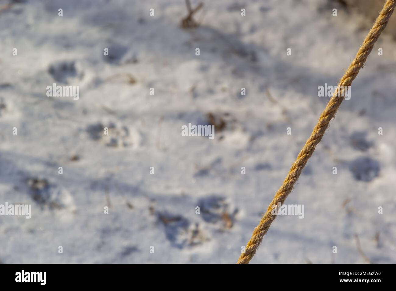 Bow knot made of linen rope string isolated over the white background ...