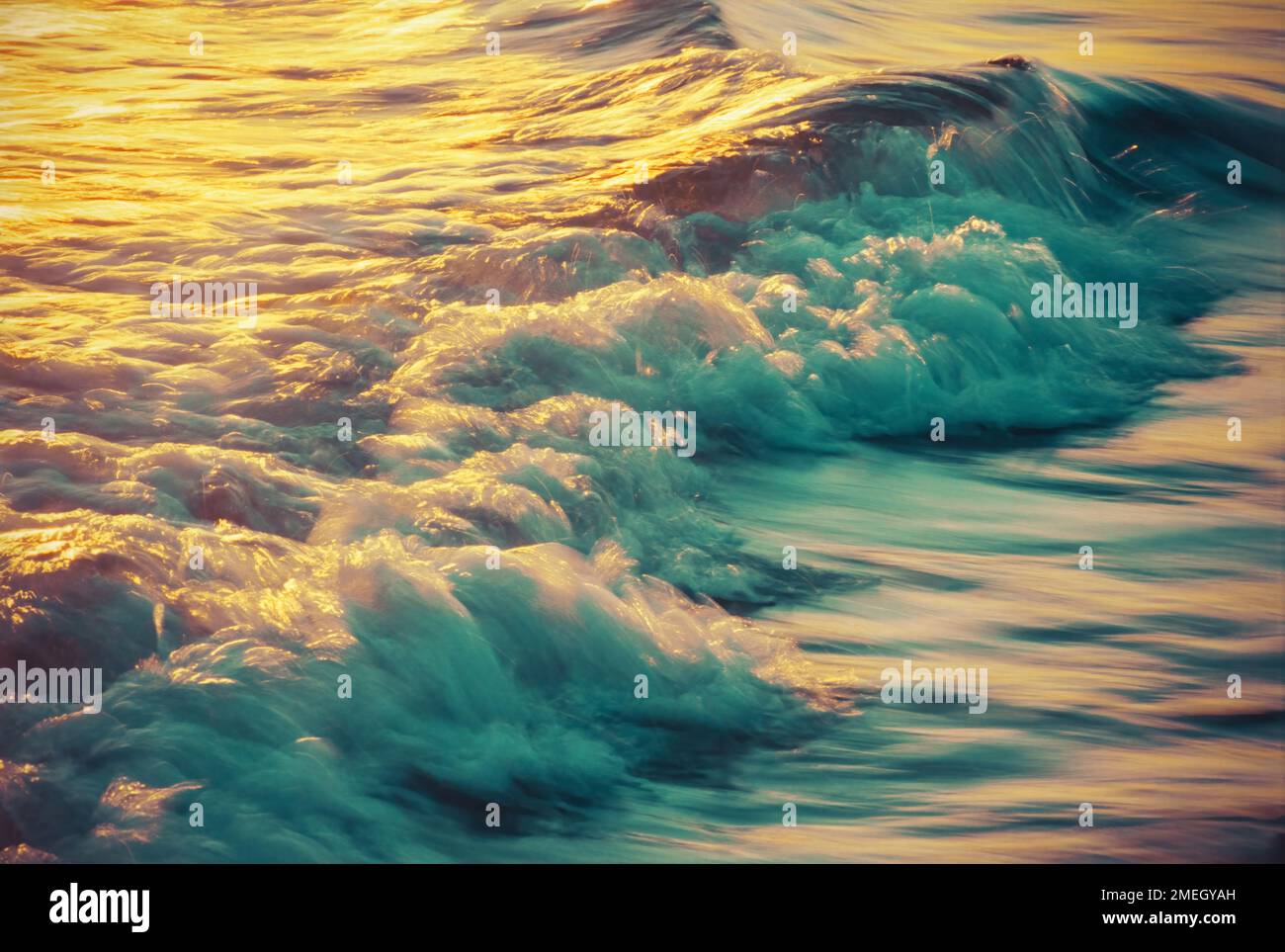 Incoming whitewater wave rolling onto the shore Stock Photo - Alamy