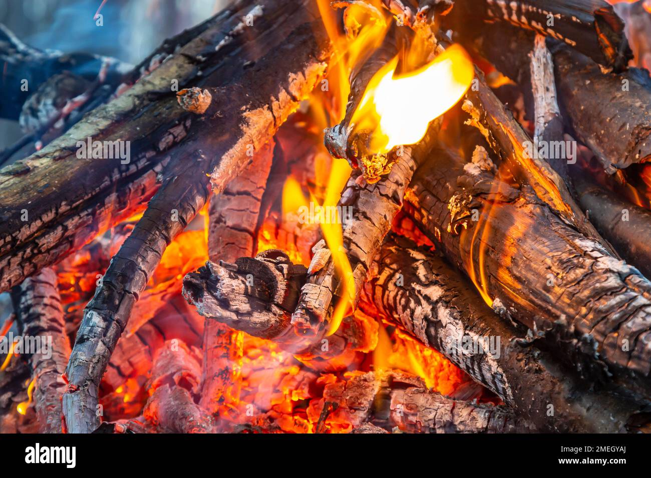 Campfire in the spring forest. Rest on the weekend. Danger of forest ...