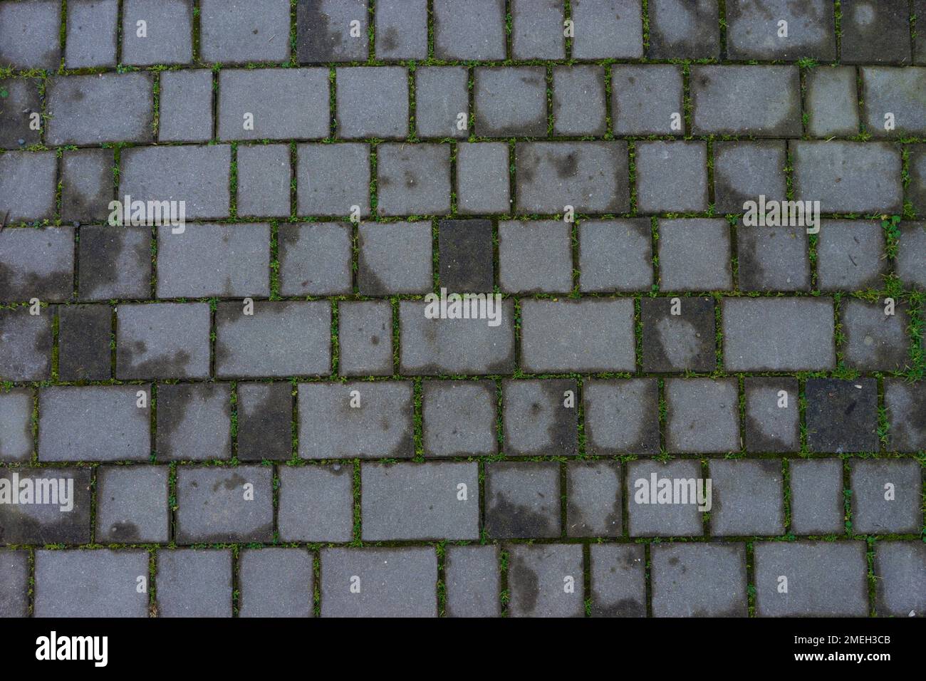 Paving sett hi-res stock photography and images - Alamy