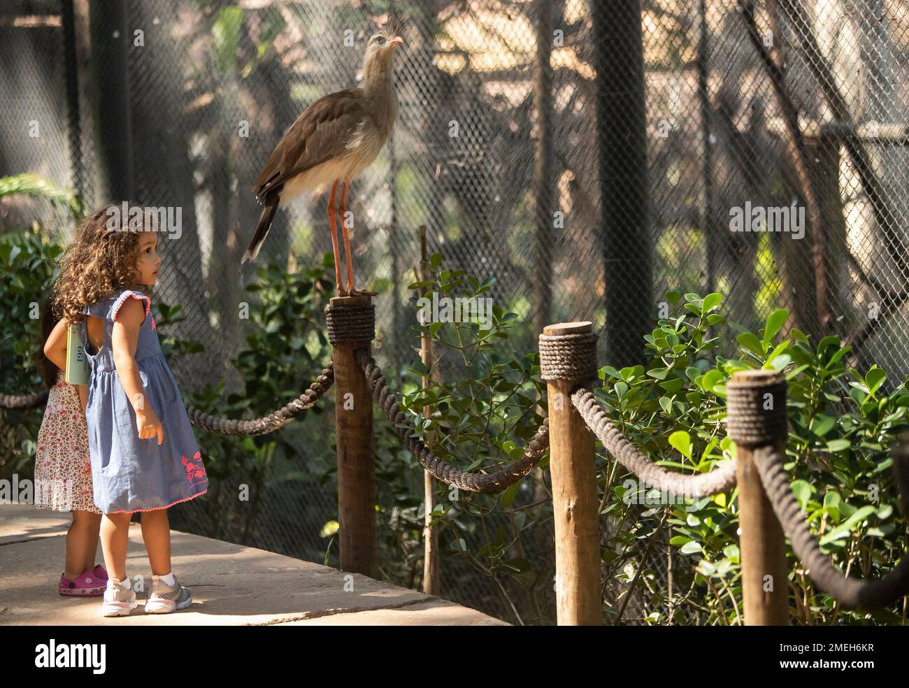 Children visit the aviary at BioParque, in Rio de Janeiro, Brazil ...