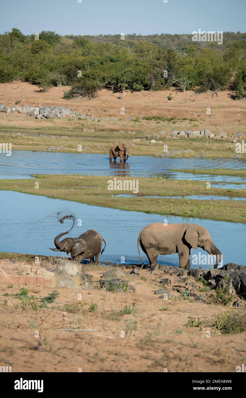Red mud bath hi-res stock photography and images - Alamy
