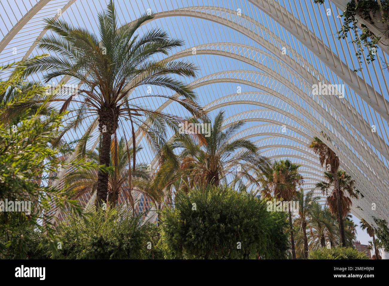 Exterior Structure of the Umbracle Modern Building with its greenery in ...