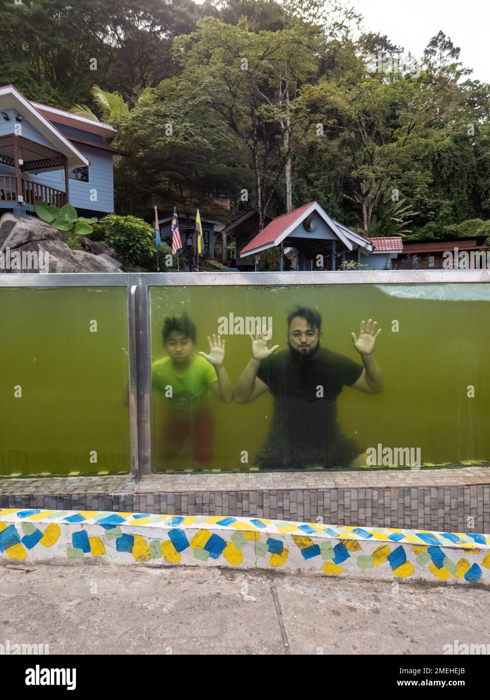 Father and son diving and swimming underwater are seen through the pool ...