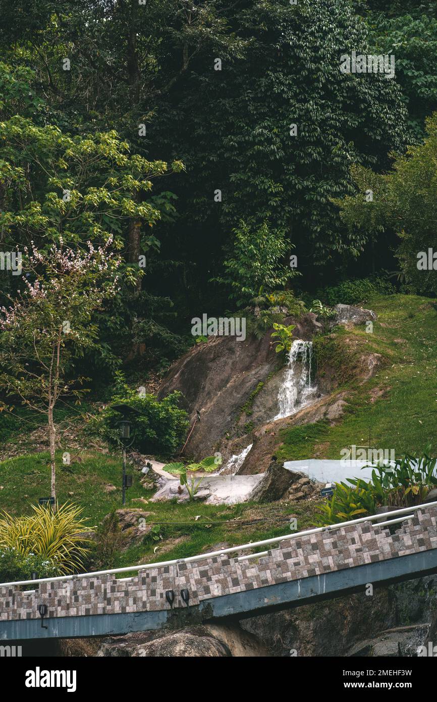 Small waterfall with plants in the rainforest jungle Stock Photo - Alamy