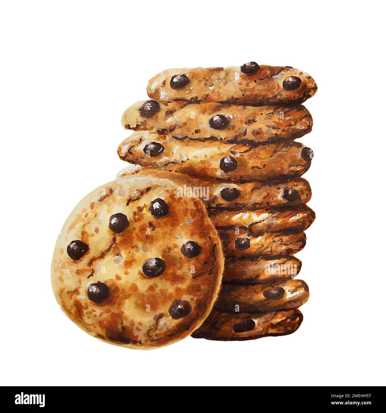 Watercolor chocolate biscuits. Hand painting sweet crunchy cookies on a ...