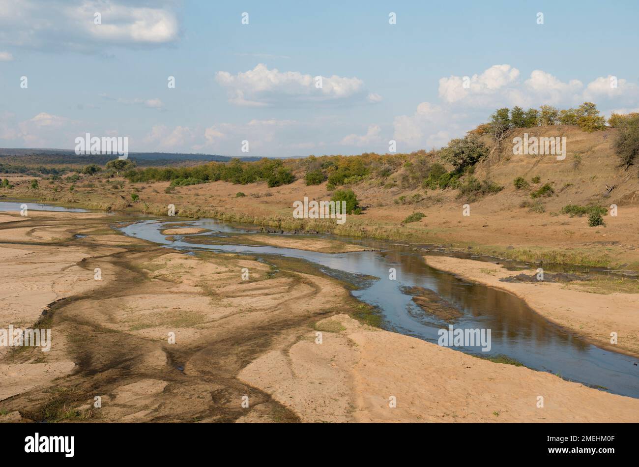 Scenic view of Letaba river running through sandbanks, Kruger National ...