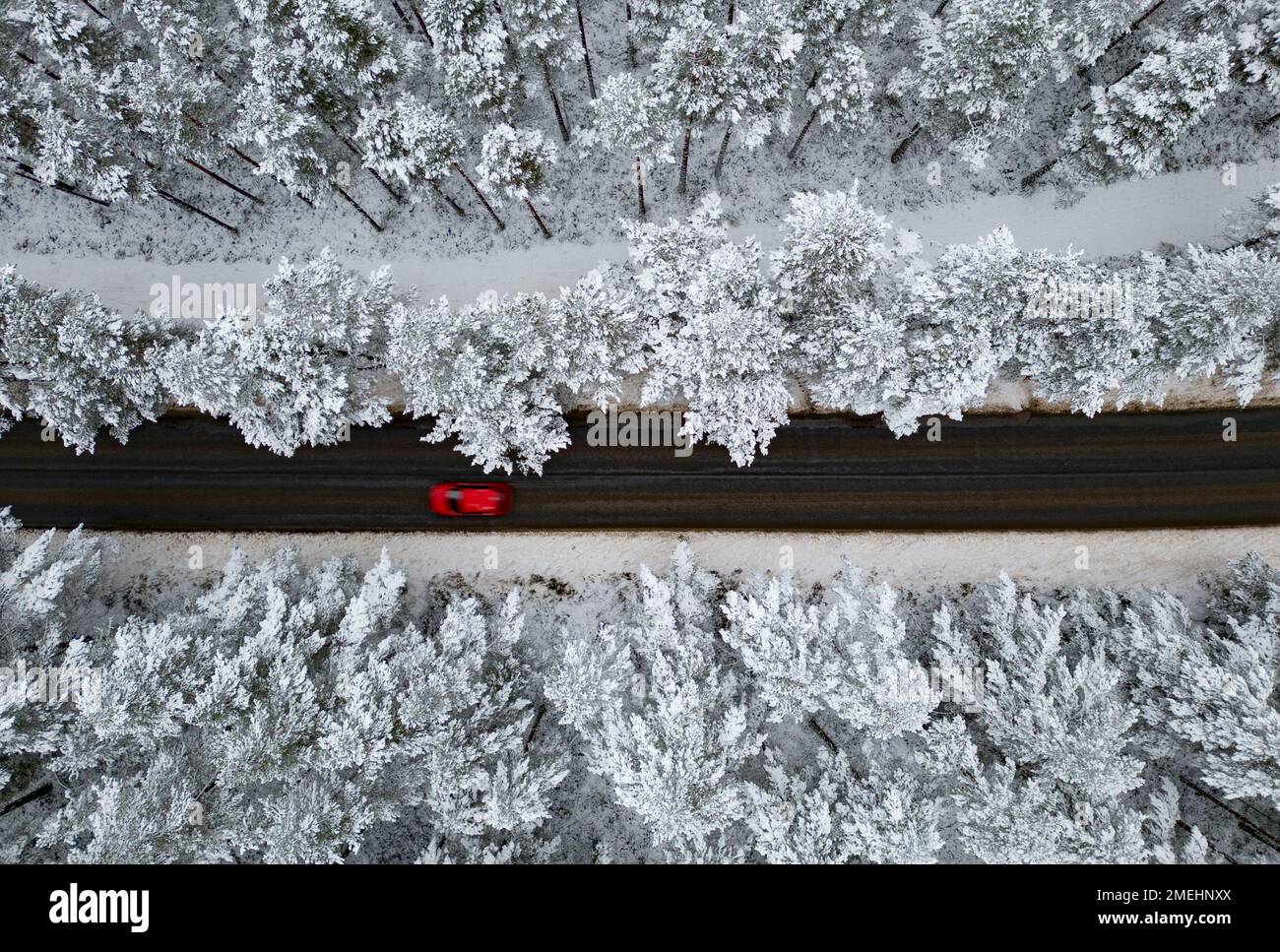 Aerial view of road in snow Rothiemurchus forest in Cairngorms national ...