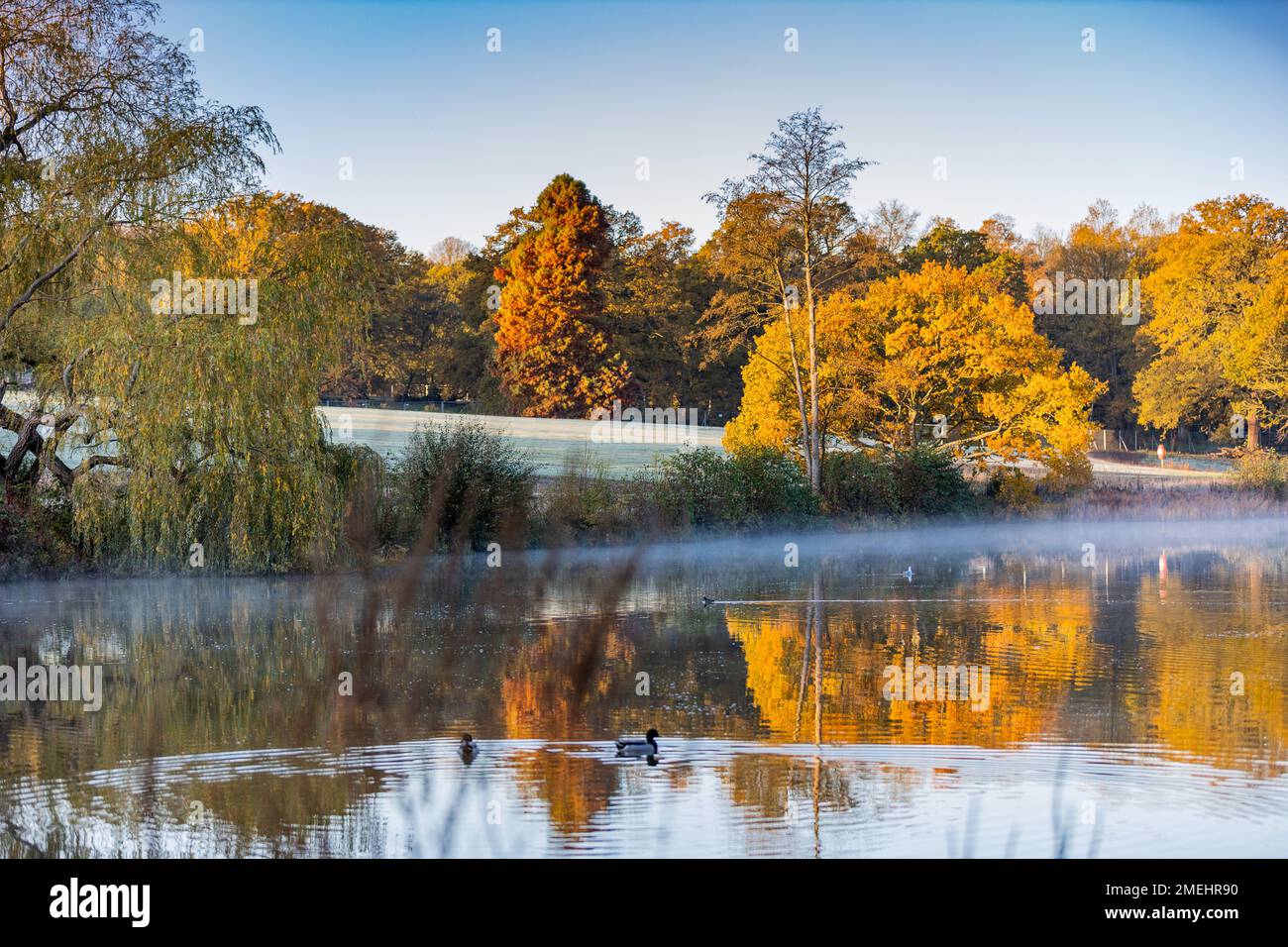 Barnet, London Local Area Photography Stock Photo - Alamy