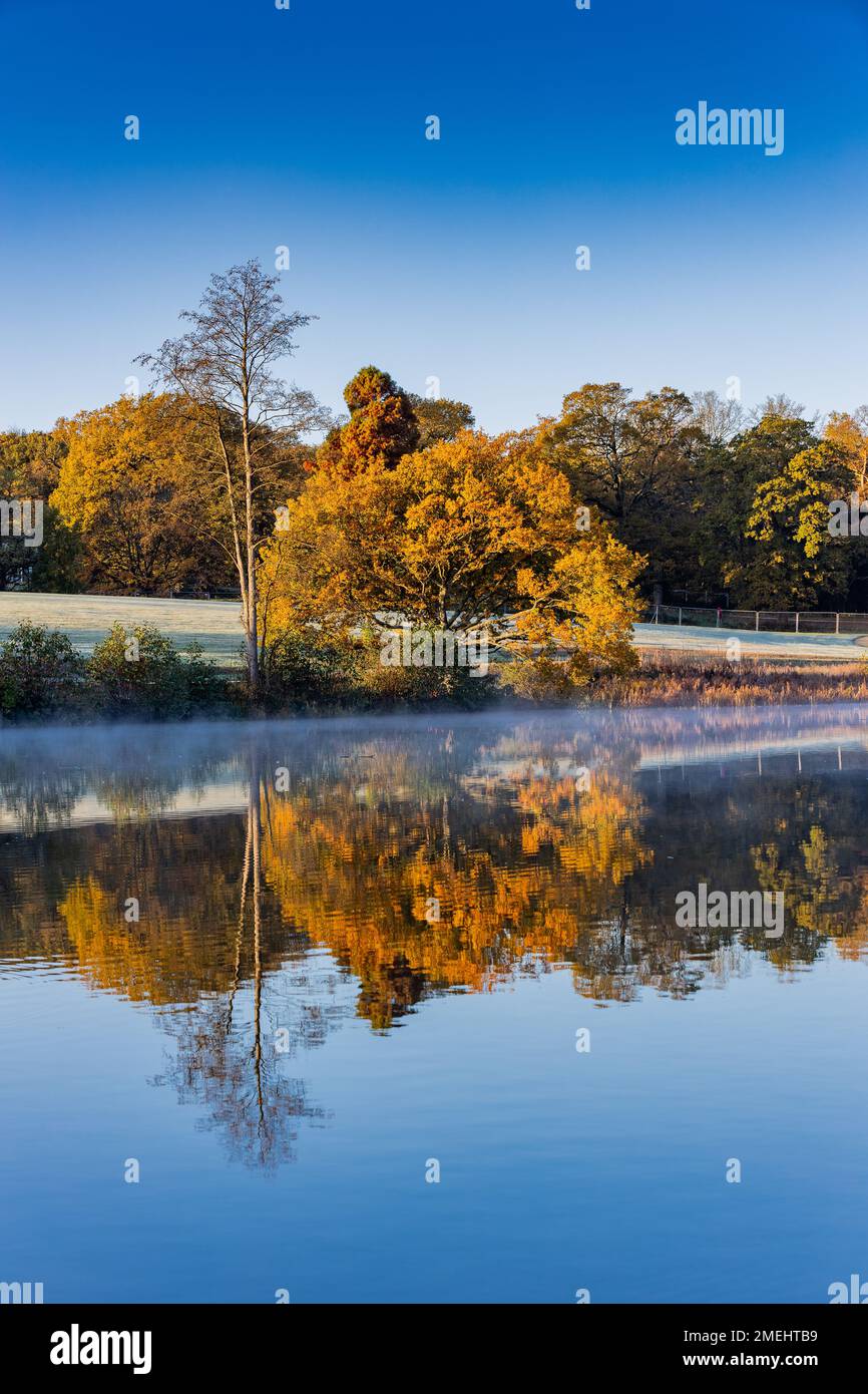 Barnet, London Local Area Photography Stock Photo - Alamy