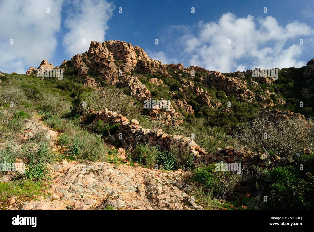 Monte ruju hi-res stock photography and images - Alamy