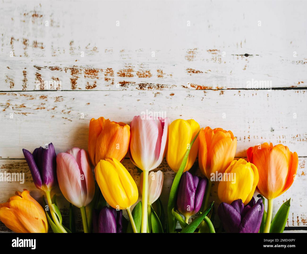 tulips light wooden background. the view from top. with space for text ...