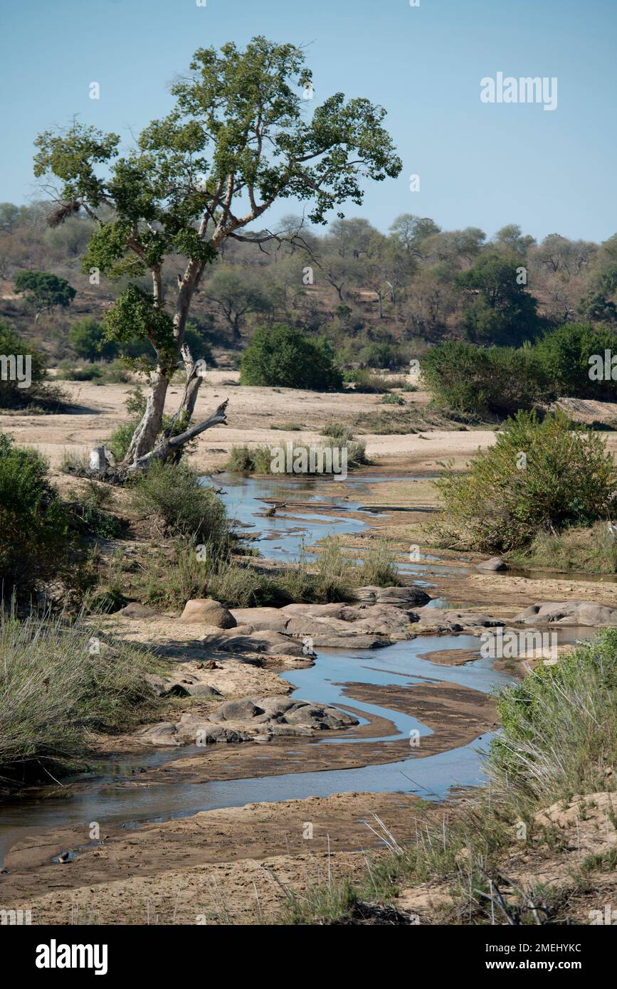 River scene, Kruger National Park, Mpumalanga, South Africa Stock Photo ...
