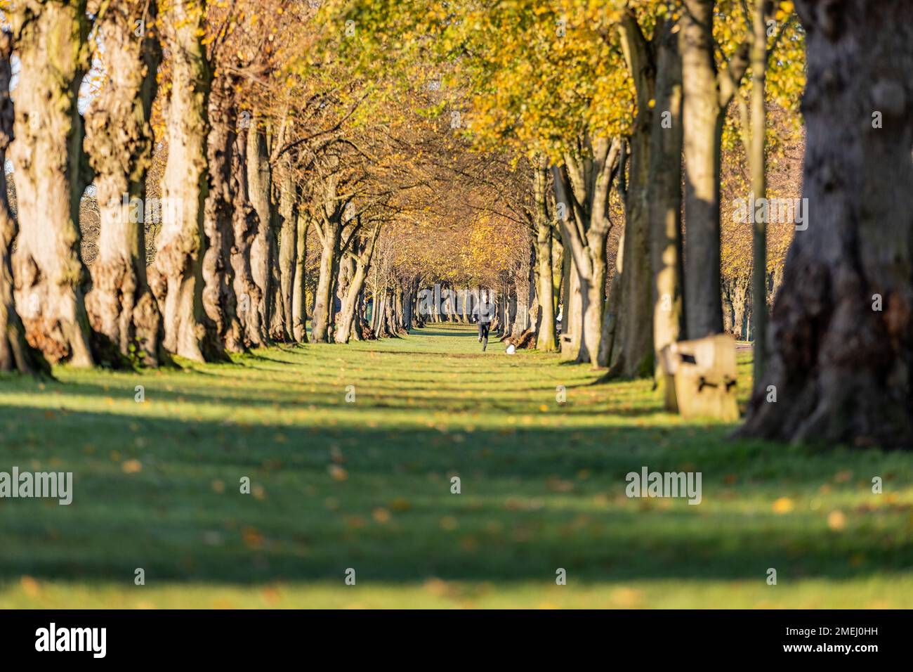 Barnet, London, Local Area Photography Stock Photo - Alamy