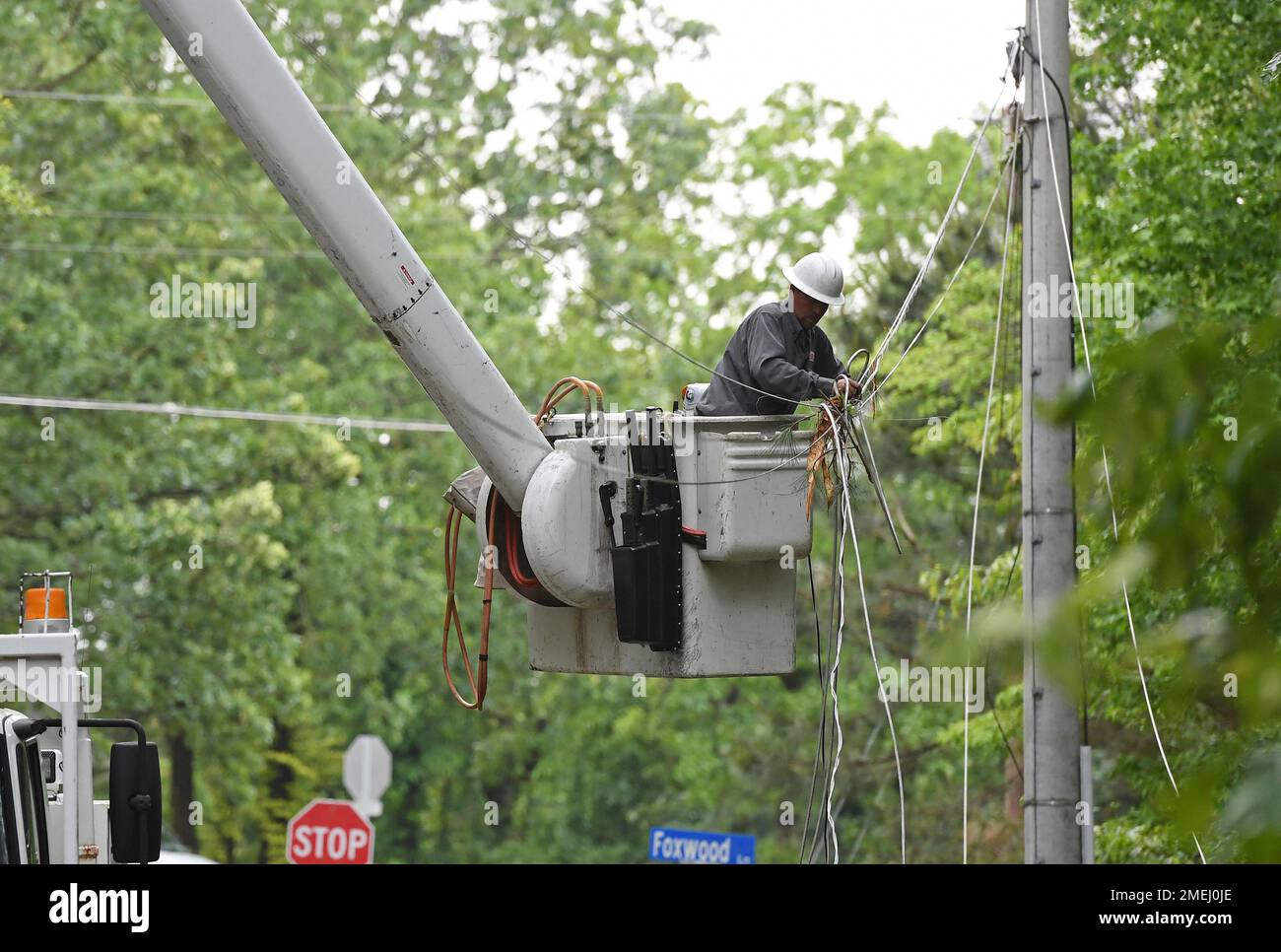 A crewman from Tupelo Water and Light works to untangle lines along ...