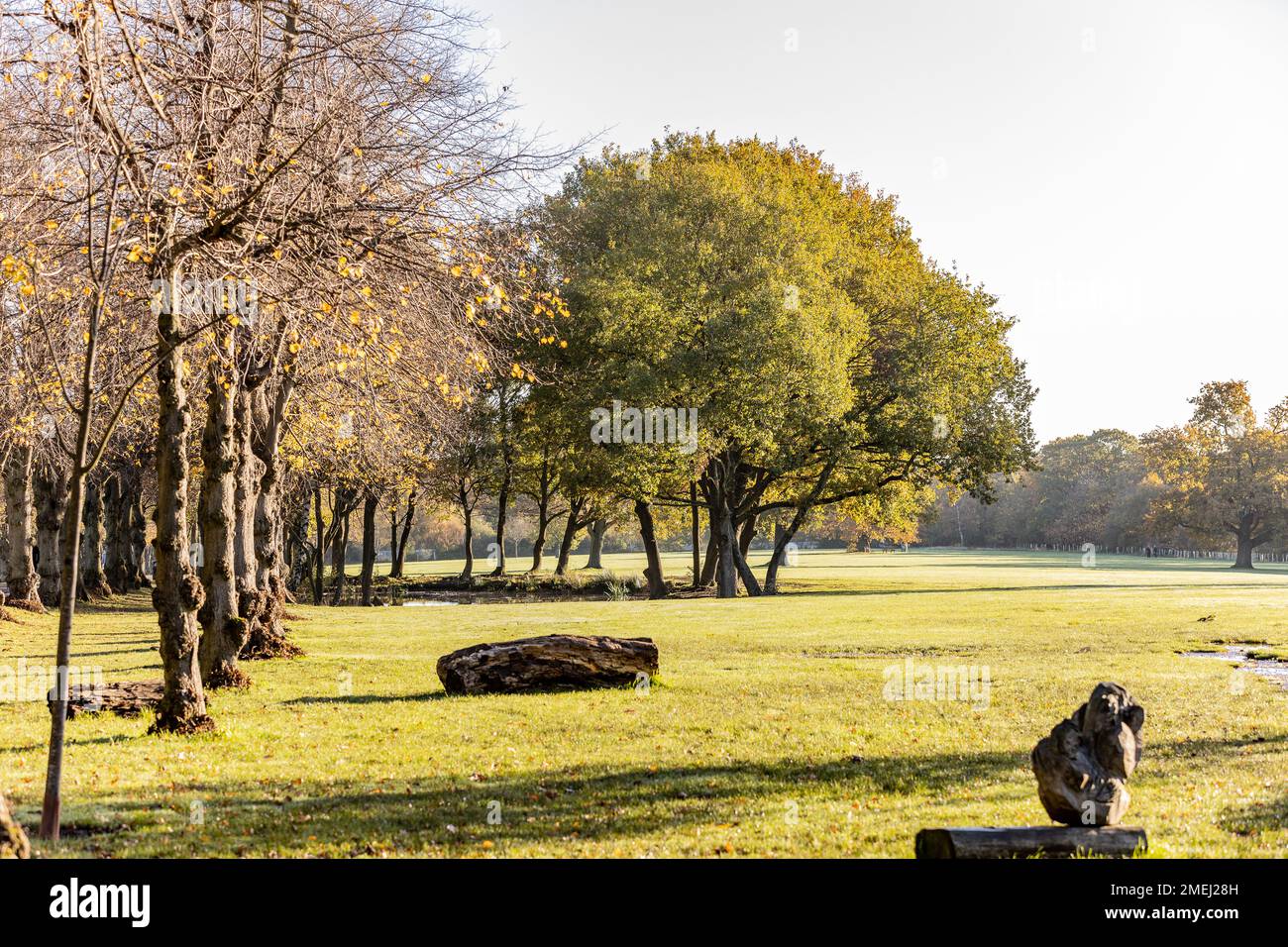 Barnet, London, Local Area Photography Stock Photo - Alamy