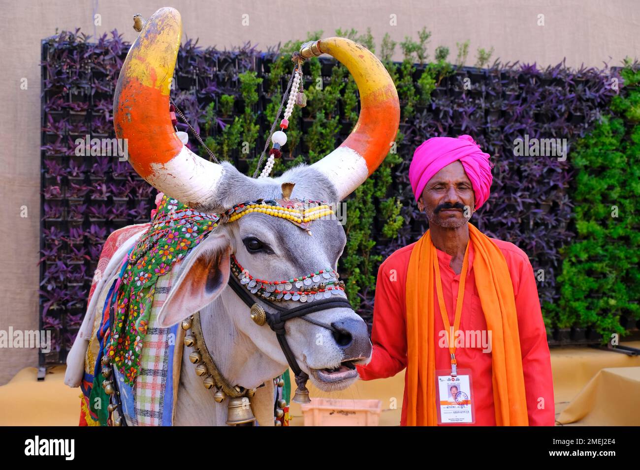 21 December 2022, Bhimthadi Jatra, Pune, India, It is about the ...