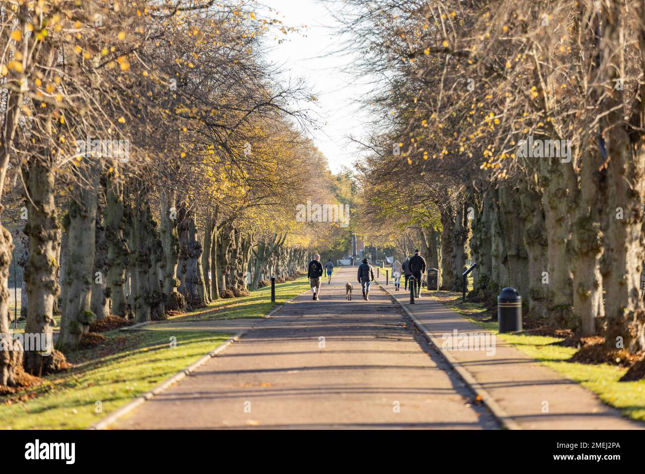 Barnet, London, Local Area Photography Stock Photo - Alamy