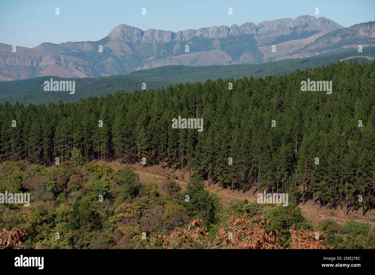 Scenic view with path through forest with hills in background, Agatha ...