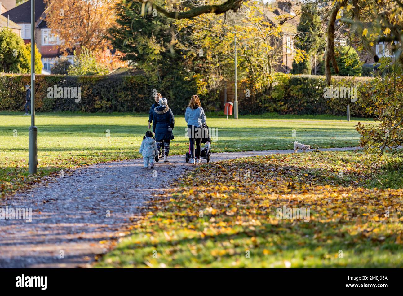 High barnet park hi-res stock photography and images - Alamy