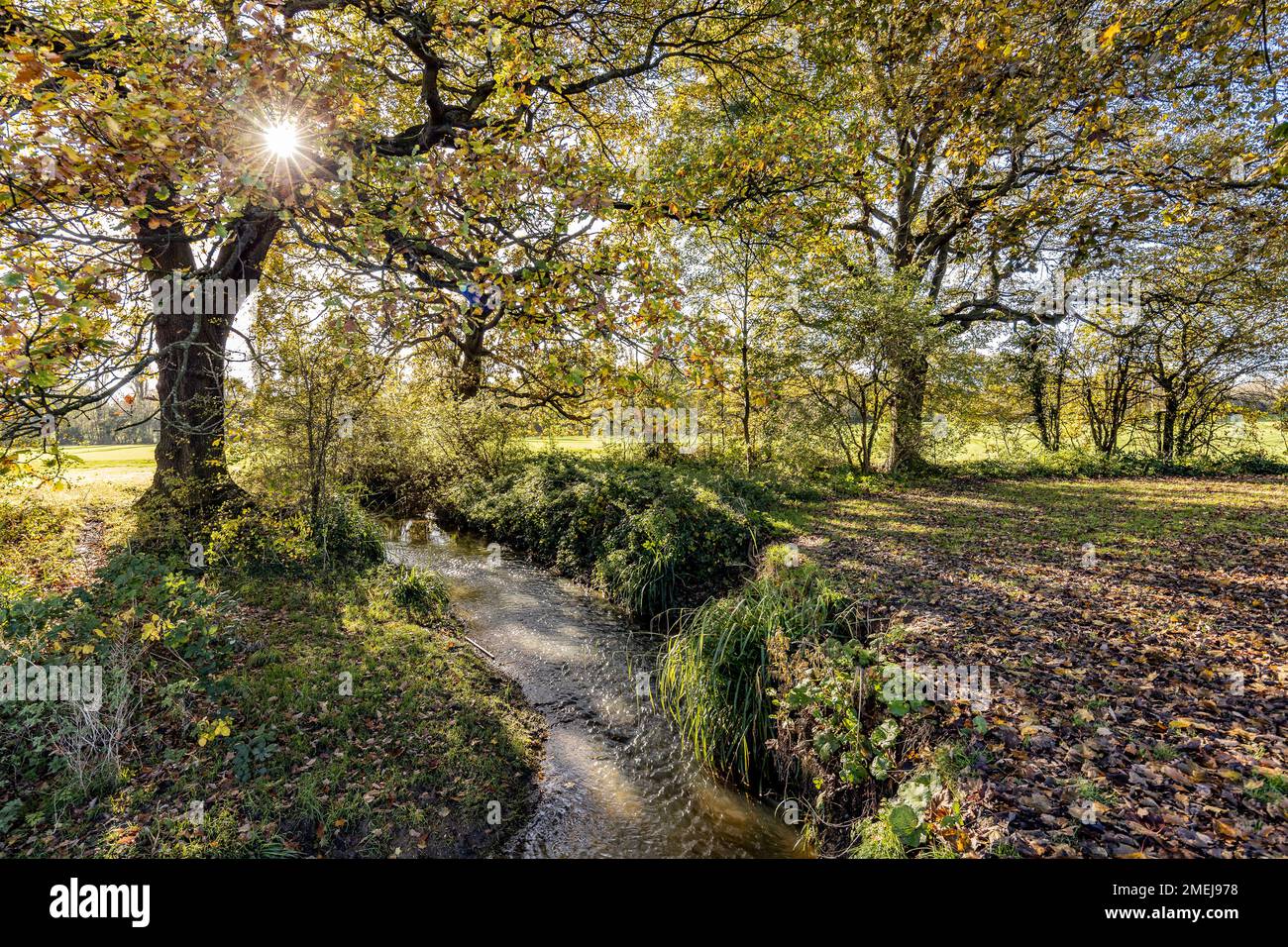 Barnet, London, Local Area Photography Stock Photo - Alamy