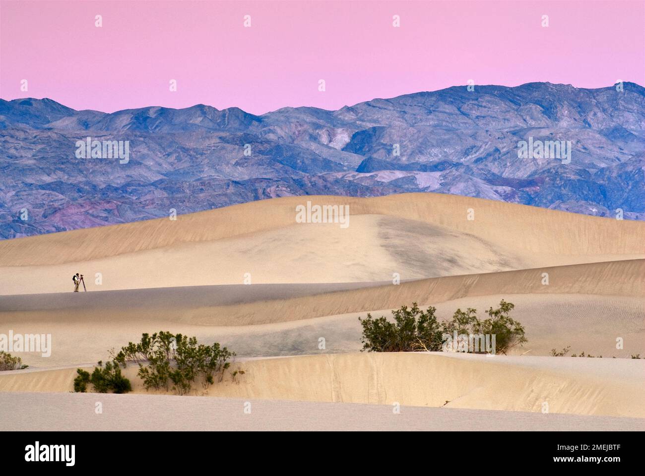 Photographer at Mesquite Flat sand dunes, creosote bush, Cottonwood ...