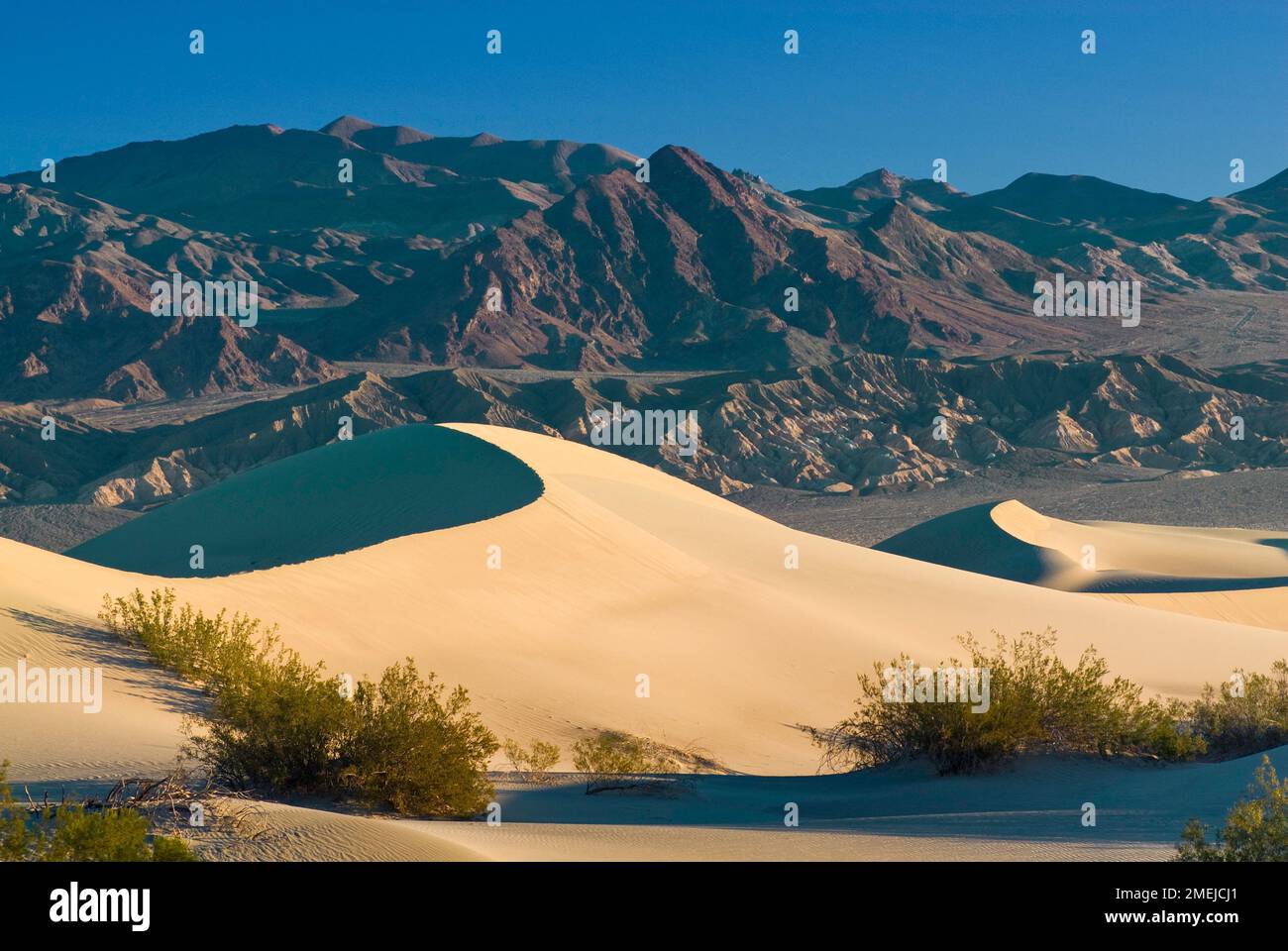 Mesquite Flat sand dunes, creosote bush, Amargosa Range mountains ...