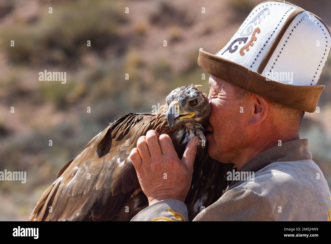 Kyrgyz hunter or Berkutchi hugging a golden eagle, Kyrgyzstan Stock ...
