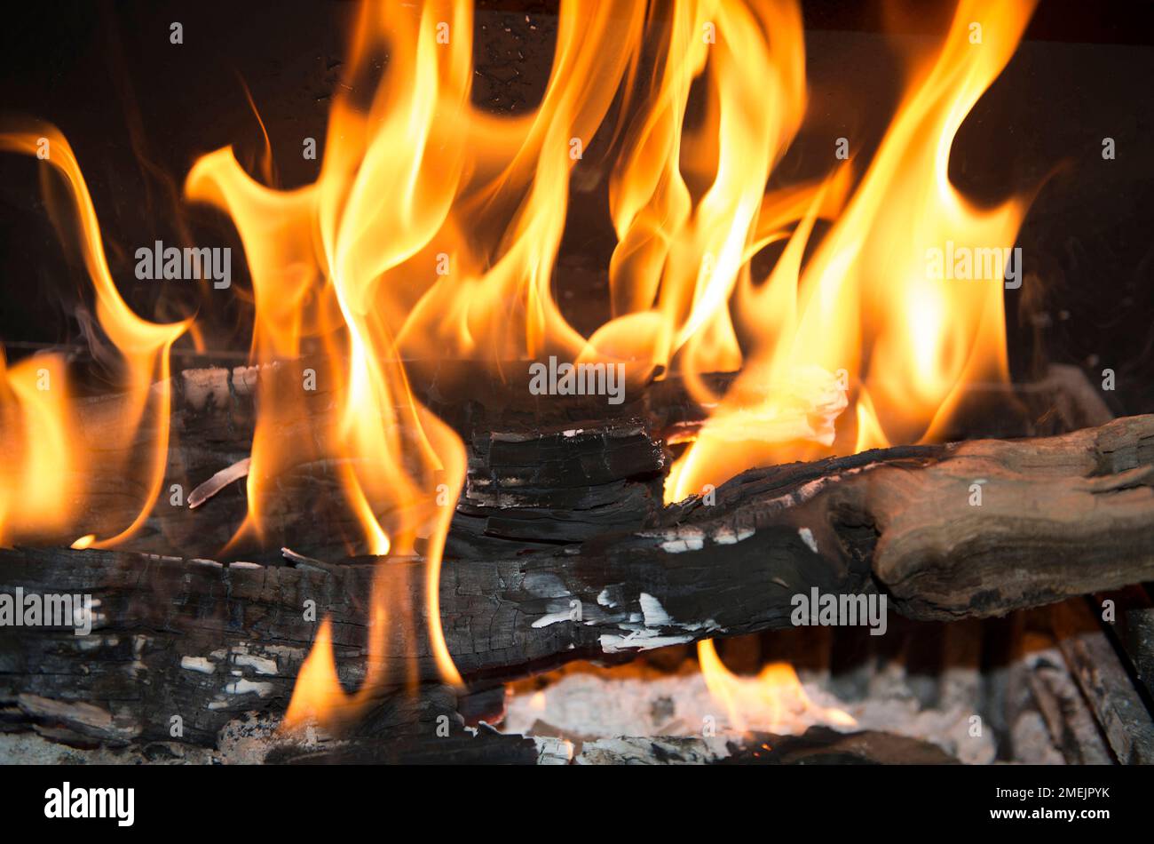 Vaalwater Limpopo South Africa