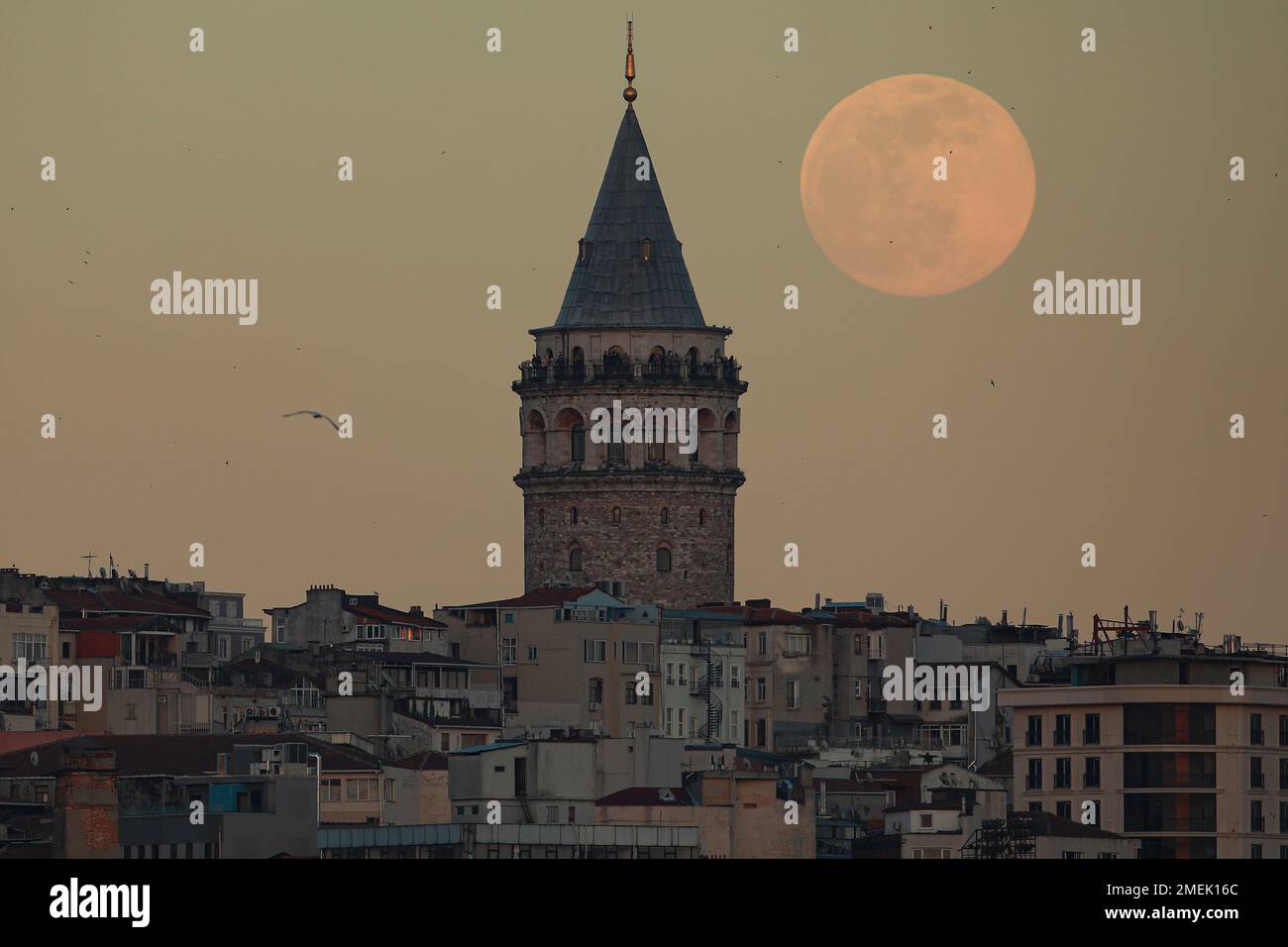 The full moon rises behind Istanbul's iconic Galata Tower, Monday ...