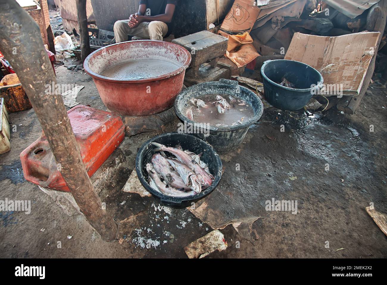 Gambia banjul fish hi-res stock photography and images - Alamy