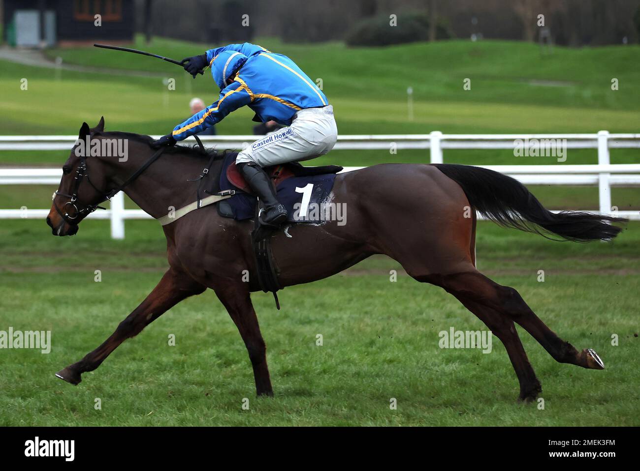 File photo dated 23-01-2022 of The Galloping Bear, who still has a big ...