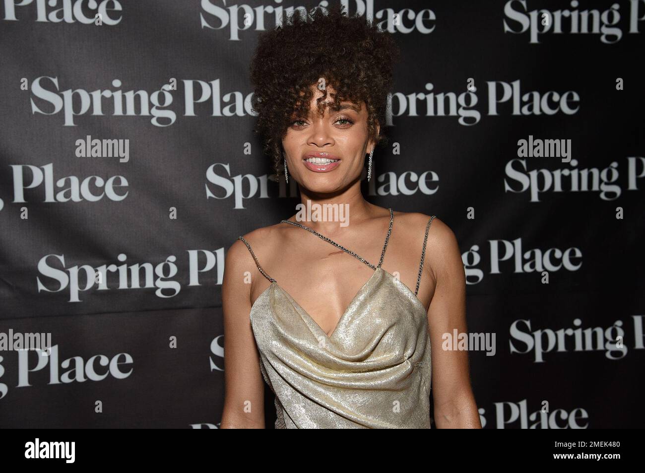Andra Day arrives at an afterparty celebrating the cast of "United ...