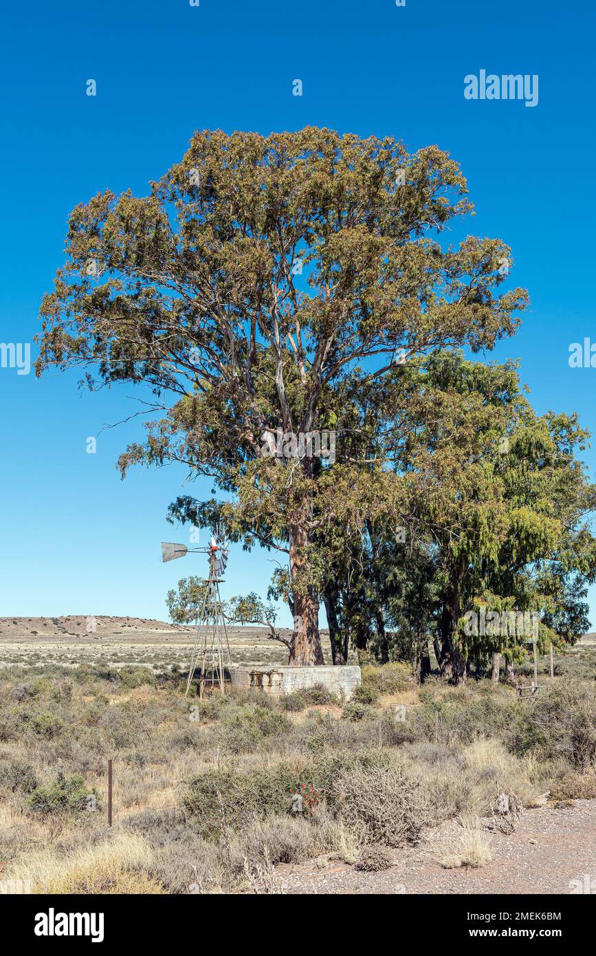A landscape, with a windmill, dam and large trees, on the road between ...